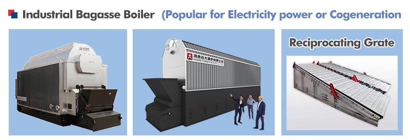 Bagasse Boiler Cane Bagasse Steam Boiler Reciprocating Grate Bagasse Boiler Henan Yuanda Boiler
